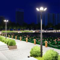 China 50W Bright Led Garden Pole Light Outdoor Waterproof AC 220V Flower For Courtyard for sale