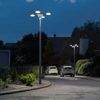 China Safety Solar Led Street Light Road Light Lamp Ferris Wheel Shape 2-4 Lamp Caps for sale