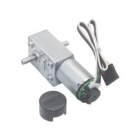 China Micro DC Electric Double Shaft Worm Geared Motor 6V 12V 24V 6-150RPM for sale