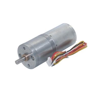 China Low-Speed High Torque JGA25-2430 Brushless DC Deceleration Motor 12v24v High Torque Spur Gear Dc Motor for sale