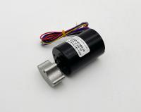 China 12v 4000rpm Brushless Electric Motor high speed BLDC 3650 OEM ODM for sale