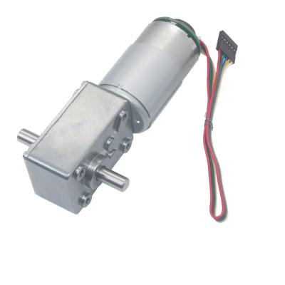 China Double Shaft 12V High Torque Worm Gear Motor With Encoder Self Locking 12rpm for sale