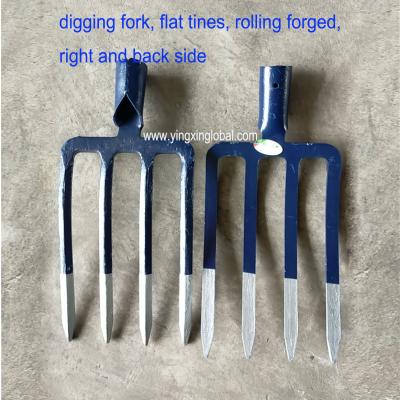 China Forged Carbon Steel Flat Tines Spading Fork 160x260x360mm Durable Farming Garden Digging Tool for sale