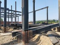 China Prefab Steel Structure Dairy Cattle Cow Shed Farm Building 75m x 35m x 7m Eave Height for sale