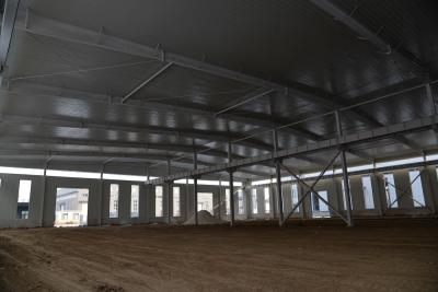 China Custom Q345B Prefabricated Workshop Sheds H Beam Steel Frame Building 30m Span for sale