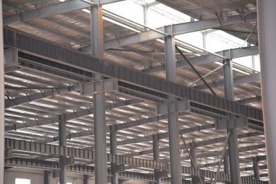 China Large Span Prefabricated Residential Steel Structure Building Q235B High Rise for sale