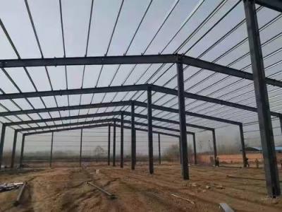 China Precast Steel Structure Warehouse with Gypsum Ceiling and Cement Cladding 75mm Panel for sale