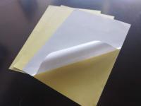 China Moisture Proof Glossy Self-Adhesive Sticker Paper Roll for Business Shopping Purposes for sale