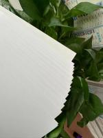 China Customized Printing Hotselling Paper 210/230/250/270/300gsm FBB/GC1/C1S of Standard for sale
