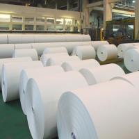 China White Writing Jumbo Roll Paper for A4 Copy Paper at Competitive for sale