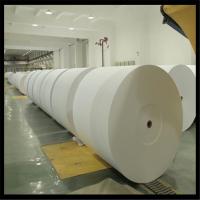 China Anti-Curl Copy Paper Jumbo Roll for A4 Cutting Made from Wood Pulp for sale