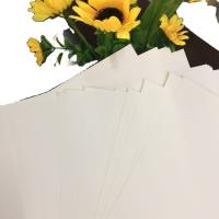 China Chemical-Mechanical Pulp Customizable Folding Box Board with and Virgin Pulp Style for sale