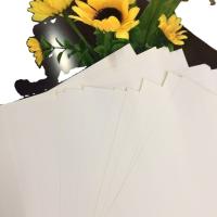 China Offset Printing Ecofriendly Ivory Folding Box Paper with Wood Pulp at Competitive for sale