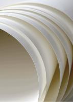 China White C1S FBB Ivory Board GC1 210gsm-400gsm One Side Coated Paper for Sandwich Durable for sale