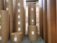 China 210gsm-400gsm C1S FBB Ivory Board for Package One Side Coated Paper Roll Sheet Size for sale