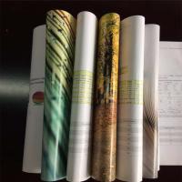 China PE Coated C2s Art Paper 80gsm 90gsm 100gsm 150gsm 170gsm 300gsm for Printing Projects for sale
