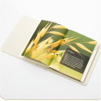 China Virgin Pulp Woodfree Offset Paper for Book Printing in Large Quantities for sale