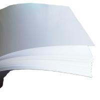 China Chemical-Mechanical Pulp Ivory Board Best Choice for Folding Box Board Paper for sale