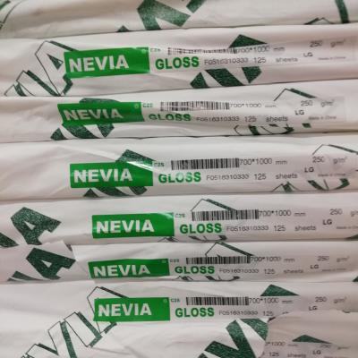 China Double Side Coated Nevia Art Paper in Reel/Sheet Package for Professional Results for sale
