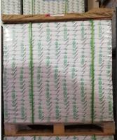 China Other Gift Craft PE Coating Material Ivory Board/FBB/C1S/GC1/Folding Box Board 250g 300g for sale