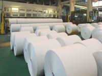 China 55-98gsm Culture Paper/Uncoated Paper Sheet/Reel Size with 3or-4% Grammage Variation for sale