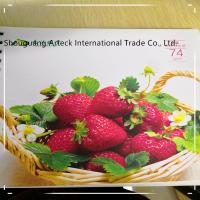 China 55-98gsm Culture Paper/Uncoated Paper Sheet/Reel Size with 3or-4% Grammage Variation for sale