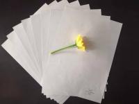 China 65-133gsm Bond Paper Hi-Kote C2S Gloss/Art Coated Paper from APP for sale