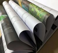 China Offset Printing Compatible Duplex Board Yunjing 60GSM 70GSM 80GSM 90GSM 100GSM 120GSM for sale