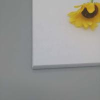 China Customes'requirements and Anti-Curl NEVIA Art Paper for Printing for sale
