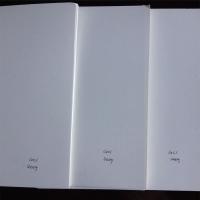 China AAA Grade Ningbo Fold C1S/FBB/Ivory Board for Packing and Printing 711*1118 for sale