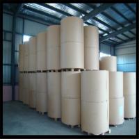 China Customizable Packaging Solution Ningbo Fold FBB with White Wood Pulp Material for sale