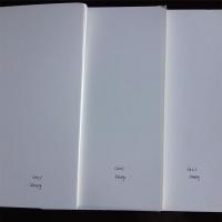 China Wood Pulp Ningbo Fold FBB/Ivory Board The Perfect Packaging and Printing Material for sale