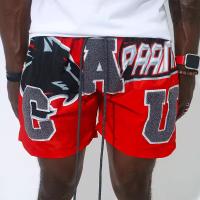China Custom Chenille Embroidered Logo Wholesale Stripe Fitness Clothing Gym Sport Wear Mesh Workout Shorts Free Sample for Men for sale