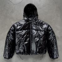 China Clothing Manufacturers Custom High Street Cropped Winter Shiny Polyester Padded Jacket Coat Puffer Jacket Men Fleece Stylish for sale