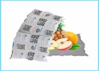 China Easy Packed Instant Cold Pack / PE & Nylon Large Reusable Ice Packs for sale