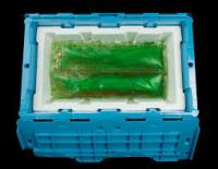 China Non Toxic Lunch Box SAP Ice Gel Packs For Breastmilk Cooler Bag for sale