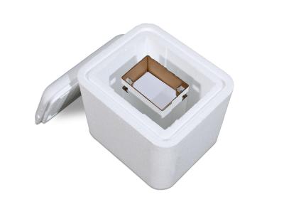 China Portable Incubator Insulation Freezer Lunch Cold Chain Shipping For Food for sale