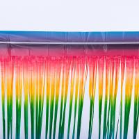 China Anti Bacterial Rainbow Fringe Backdrop 1*1m 1*2m Multicolor Foil Curtain for sale