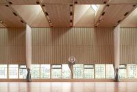 China Stadium Natural Veneer Sound Absorbing Grooved Acoustic Panel 59/5mm for sale