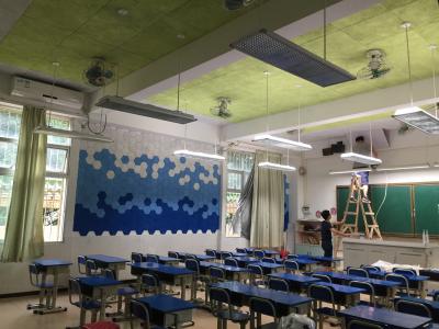 China Classroom Wall Hexagon Shape Wood Wool Cement Acoustic Panel Soundproofing Board for sale