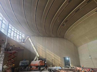China Museum 3D Radius Curved Metal Ceiling Baffle Soundproofing Woodgrain Wall Acoustic Panels for sale