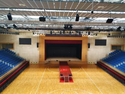 China Sport Hall 4'x8'x1'' Fireproof Wood Wool Cement Acoustic Wall Panel Soundproofing Board for sale