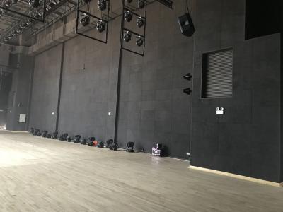 China Auditorium Side Wall Black RAL Cement Wood Wool Acoustic Panels Soundproofing Board for sale