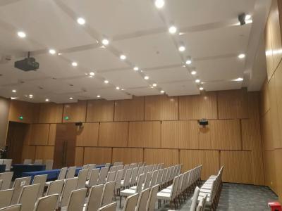 China Lecture Hall Linear Veneer Wooden Wall Panels Grooved Acoustic Sound Absorption Board for sale