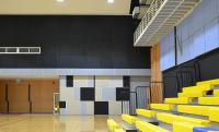 China Ceiling Tile RAL7021 Black PVDF Microperforated Aluminium Composite Soundproofing Panels for sale