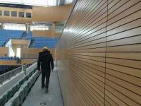 China 28/4mm Gym Veneer Linear Grooved Acoustic Wall Panels Sound Absorption Isolation Board for sale