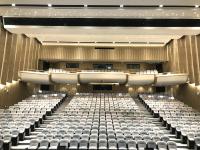 China 2/2/0.5mm Diffuser Auditorium Microperforated Wooden Sound Absorbing Wall Acoustic Panels for sale