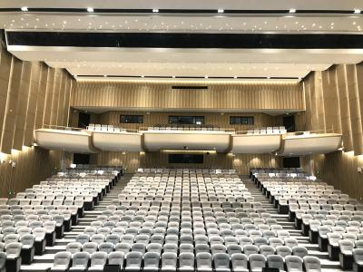 China 2/2/0.5mm Diffuser Auditorium Microperforated Wooden Sound Absorbing Wall Acoustic Panels for sale