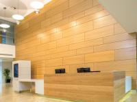 China Woodgrain Formica Laminate 2/2/0.5mm Microperforated Acoustic Panels Soundproofing Board for sale