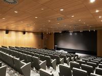 China Conference Hall 0.5mm Microperforated Acoustic Wall Panels Soundproofing Ceiling Board for sale